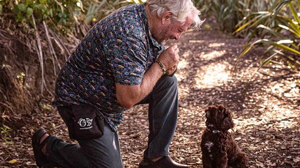 5 EASY WAYS TO CALM YOUR DOG